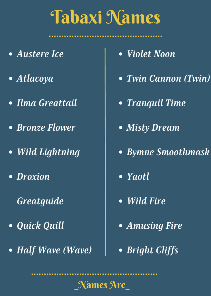 400+ Catchy and Best Tabaxi Names - Namesarc