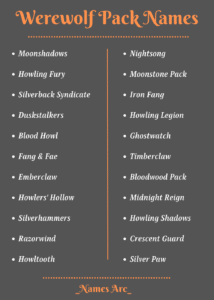 Werewolf Pack Names: 400+ Best Names for Werewolf - Namesarc