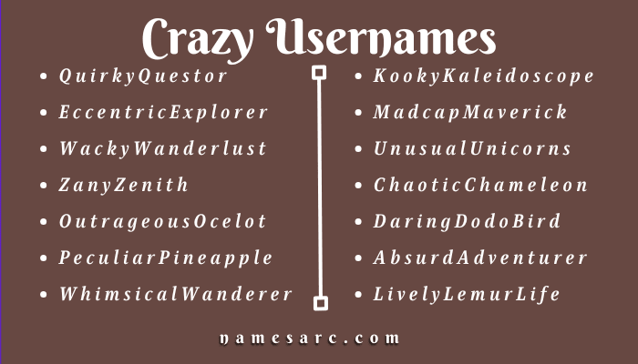 600+ Crazy Usernames Ideas for Instagram - Namesarc